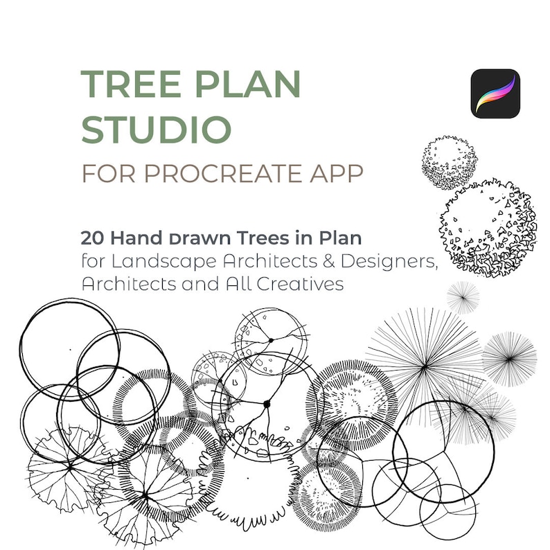Procreate Brushes Tree Plan Studio for Architectural Line Drawings and ...