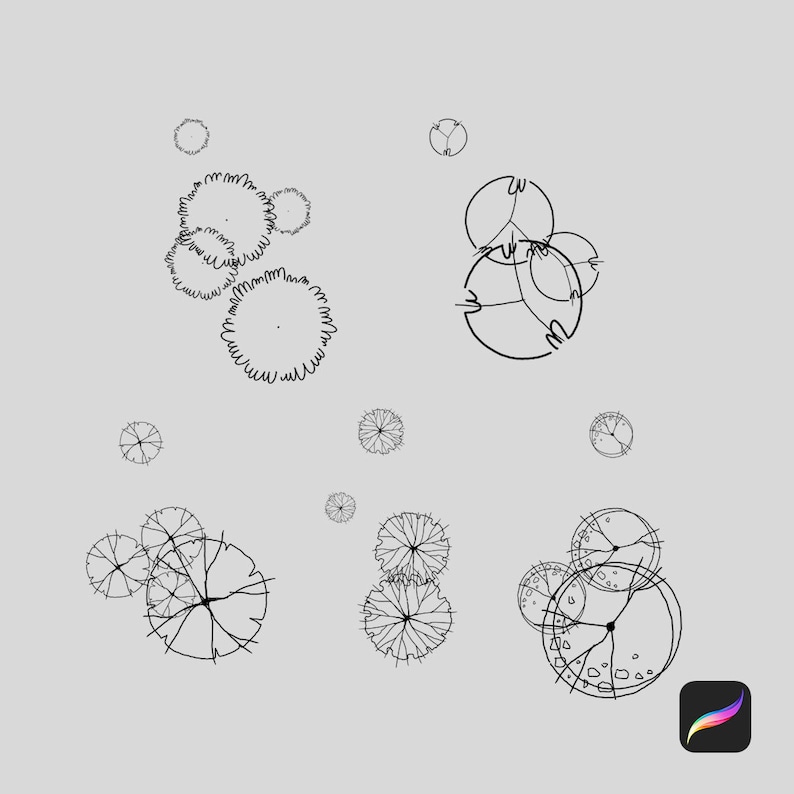 Procreate Brushes Tree Plan Studio for Architectural Line Drawings and ...