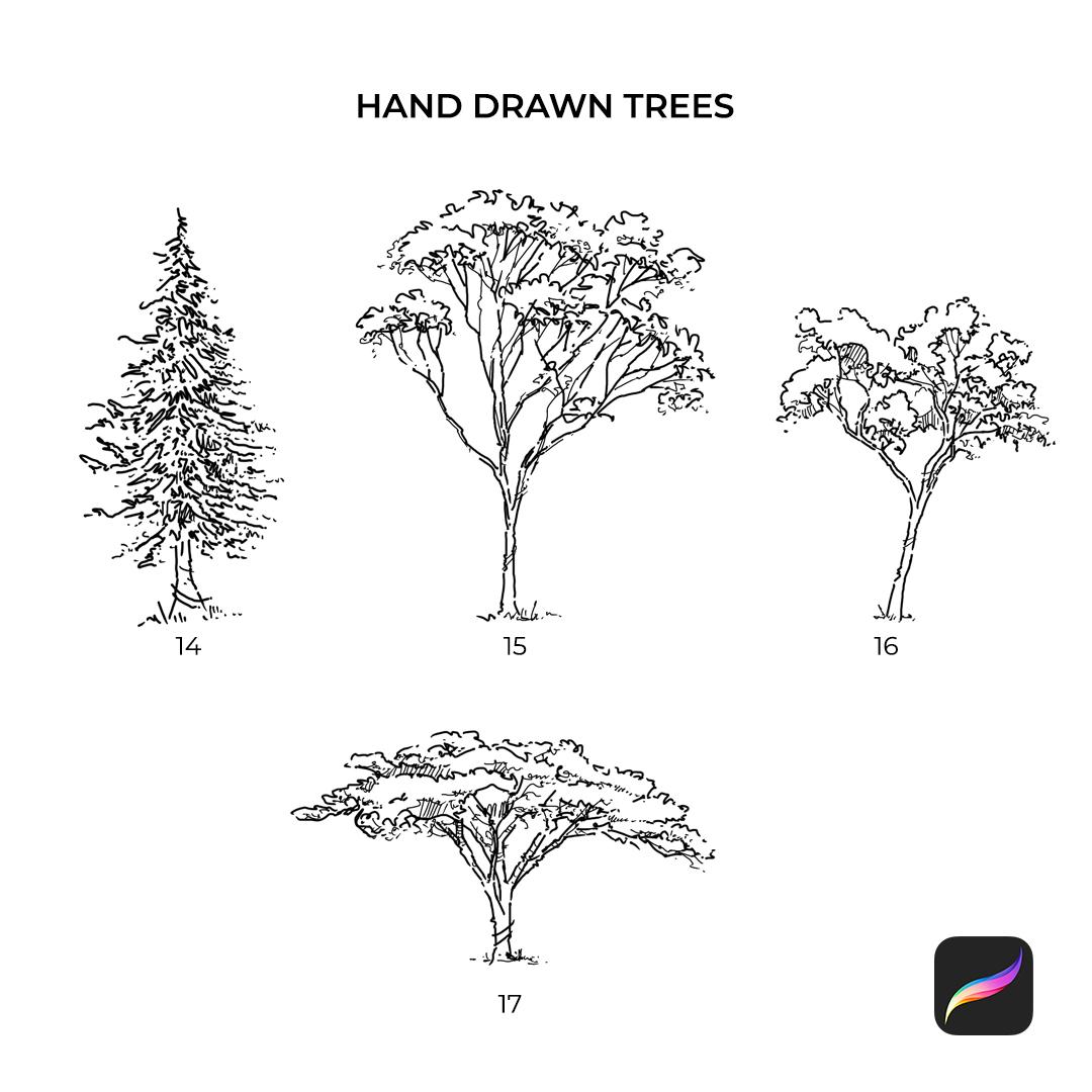 Procreate Tree Stamps Brush Set 20 Hand-drawn Trees for Conceptual ...
