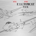 F-14 Tomcat Aircraft Pack (SVG & PNG Formats) Digital Military Drawings ...