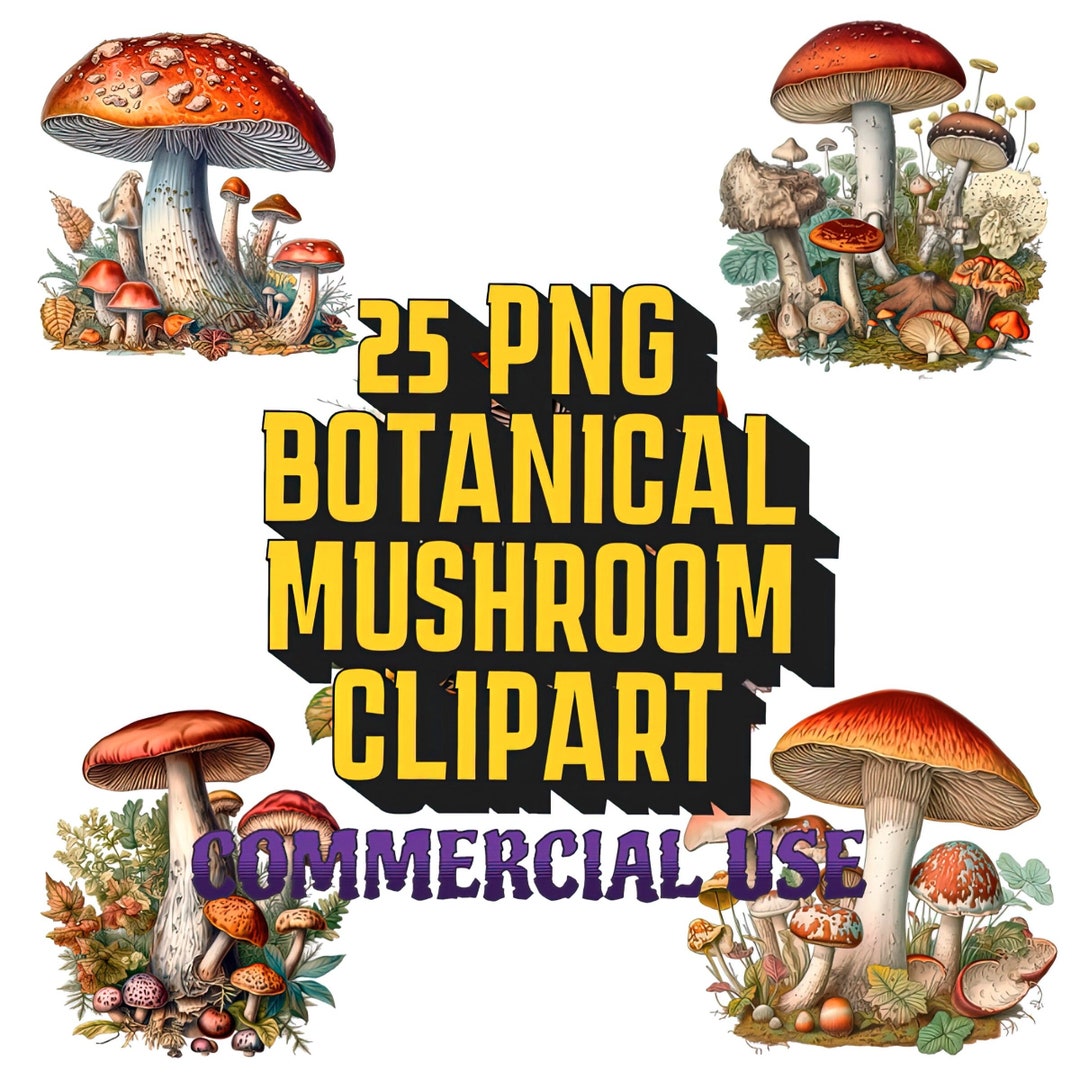 Vintage Mushroom Clip Art Scientific Botanical PNG Bundle | Vintage ...