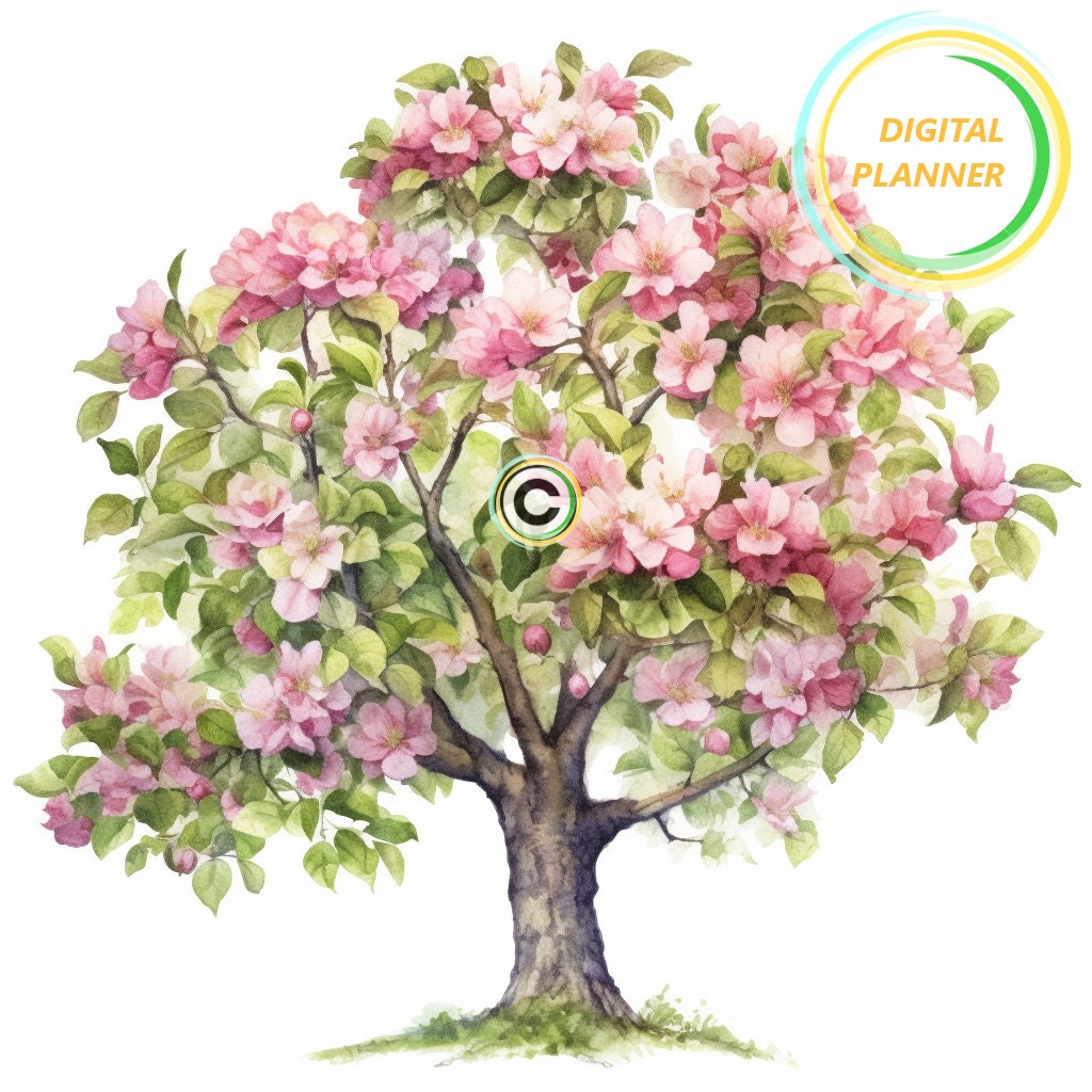 Watercolor Apples Tree Flower Clipart Card Making Wall Art - Etsy