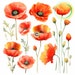 Watercolor Bright Poppies, Flower Clipart, Card Making, Wall Art ...