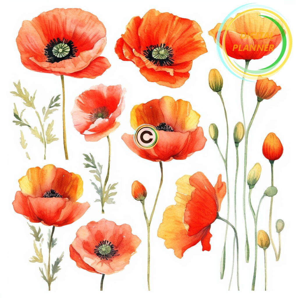 Watercolor Bright Poppies, Flower Clipart, Card Making, Wall Art ...