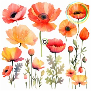 Watercolor Bright Poppies, Flower Clipart, Card Making, Wall Art ...