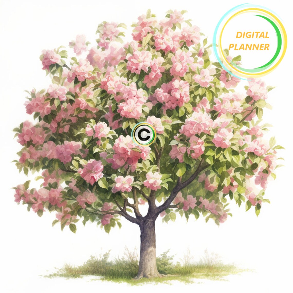 Watercolor Apples Tree Flower Clipart Card Making Wall Art - Etsy