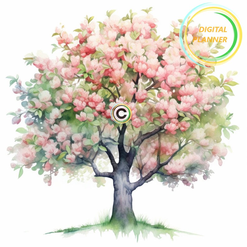 Watercolor Apples Tree Flower Clipart Card Making Wall Art - Etsy