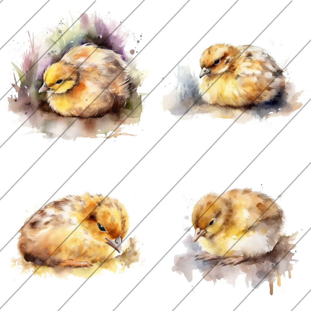 Conjunto de PNG de pollito coloreado, Imágenes Prediseñadas ...