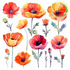 Watercolor Bright Poppies, Flower Clipart, Card Making, Wall Art ...