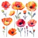 Watercolor Bright Poppies, Flower Clipart, Card Making, Wall Art ...