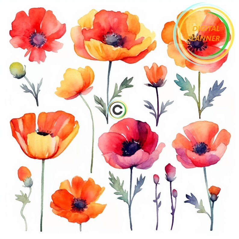 Watercolor Bright Poppies, Flower Clipart, Card Making, Wall Art ...