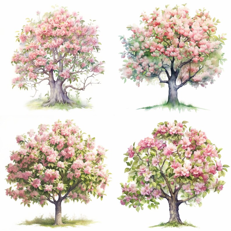 Watercolor Apples Tree Flower Clipart Card Making Wall Art - Etsy