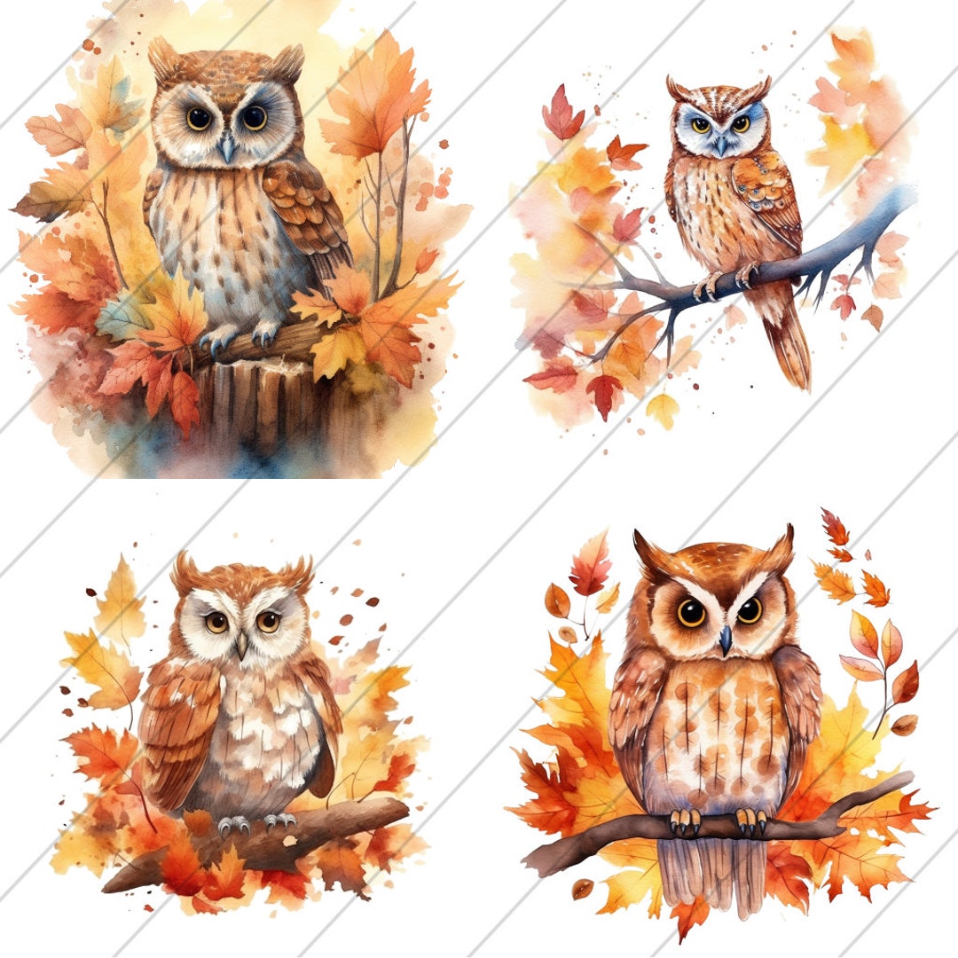 Vibrant Autumn Themed Owl PNG Season Clipart Card Making - Etsy