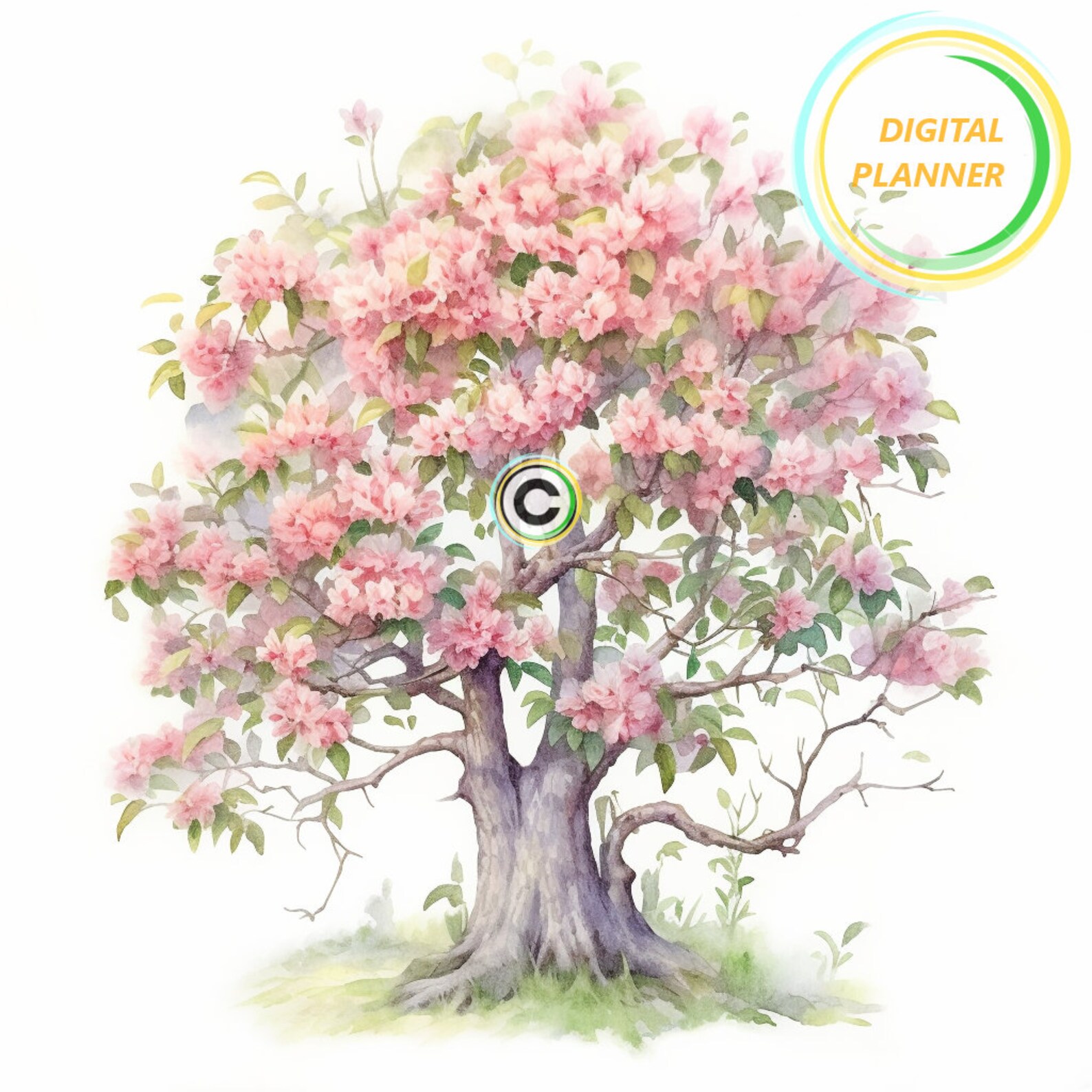 Watercolor Apples Tree Flower Clipart Card Making Wall Art - Etsy