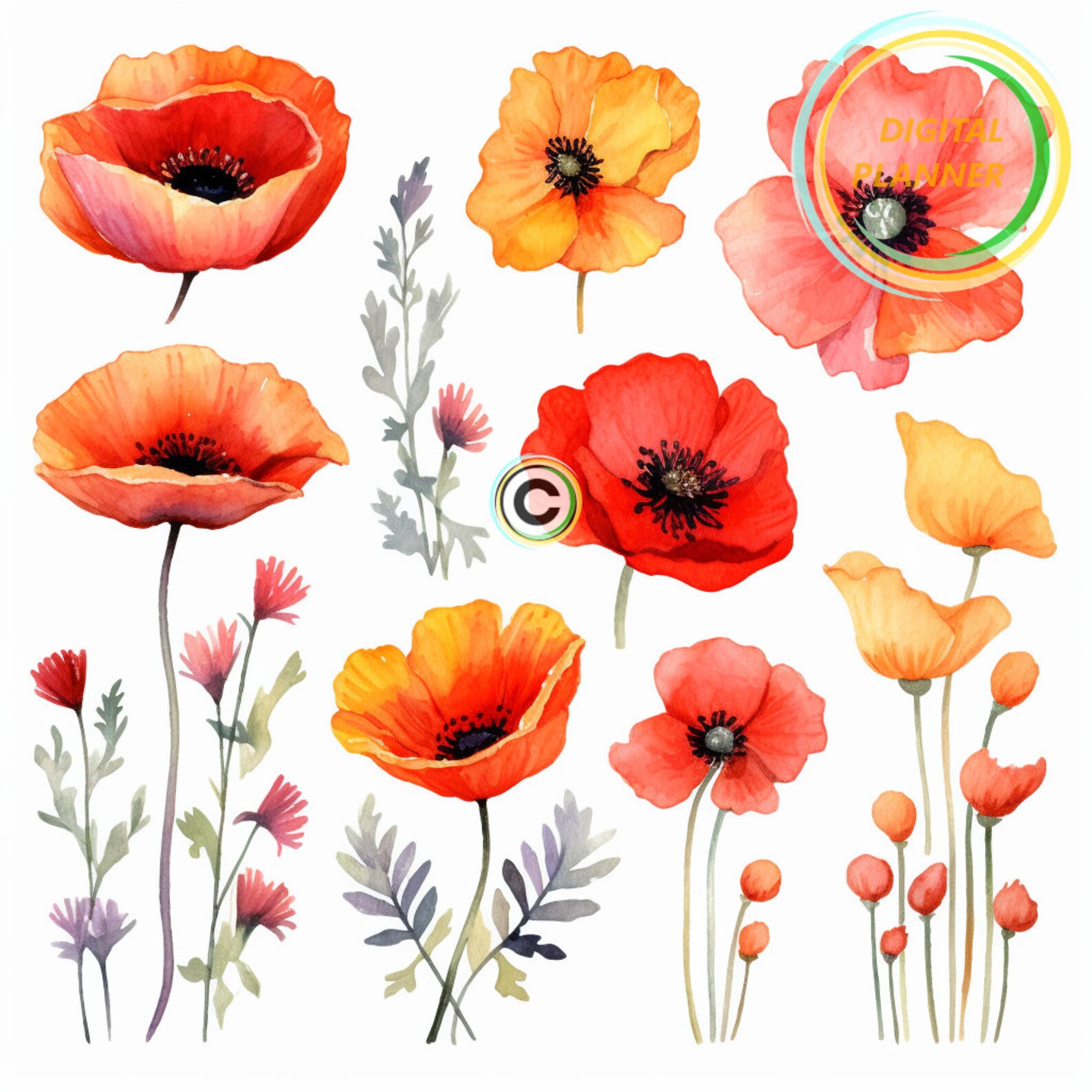 Watercolor Bright Poppies, Flower Clipart, Card Making, Wall Art ...