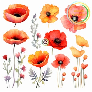 Watercolor Bright Poppies, Flower Clipart, Card Making, Wall Art ...