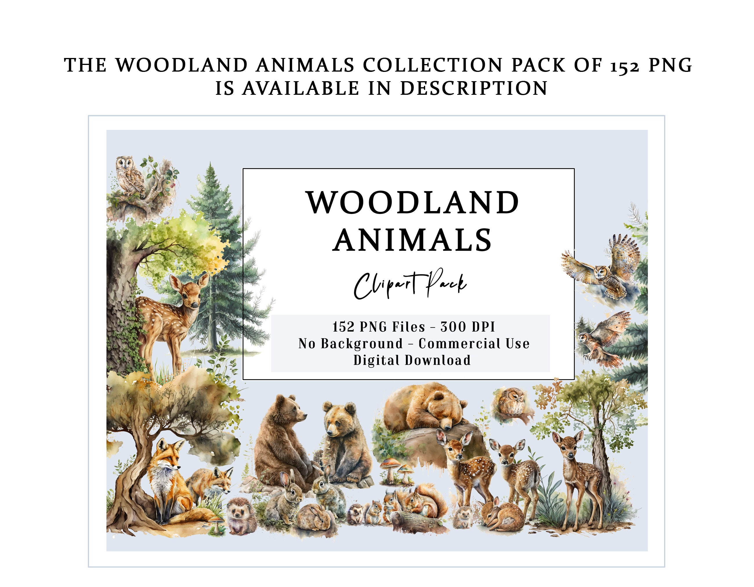 Woodland Squirrel Clipart Watercolor, Woodland Baby Animals Clipart ...