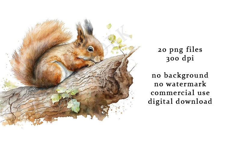 Woodland Squirrel Clipart Watercolor, Woodland Baby Animals Clipart ...