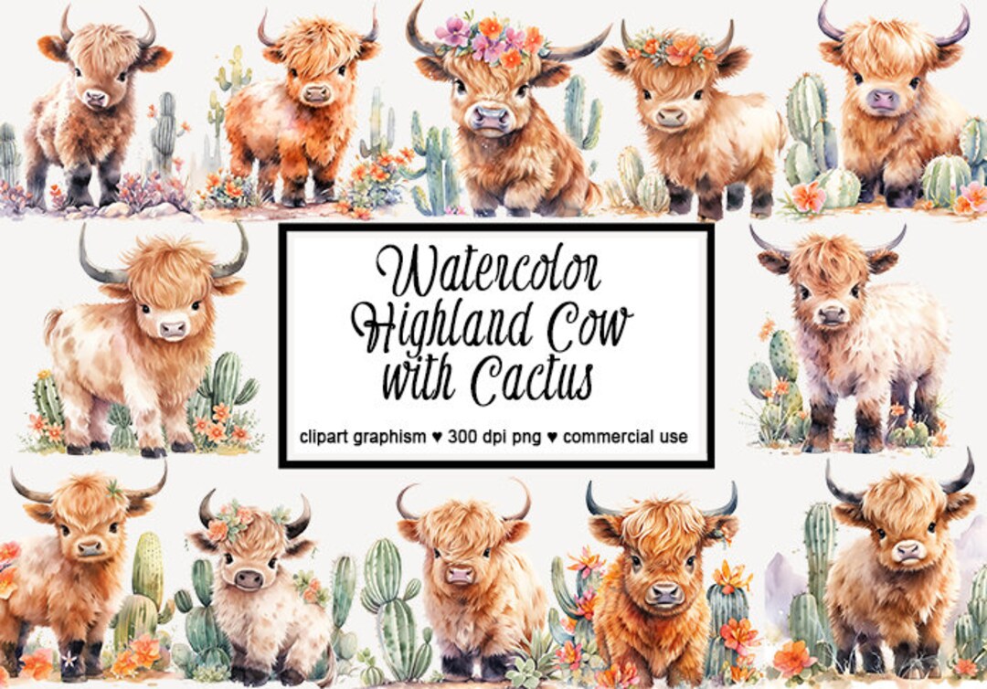 Highland Cow With Cactus Clipart Cactus Highland Cow Clipart Watercolor ...