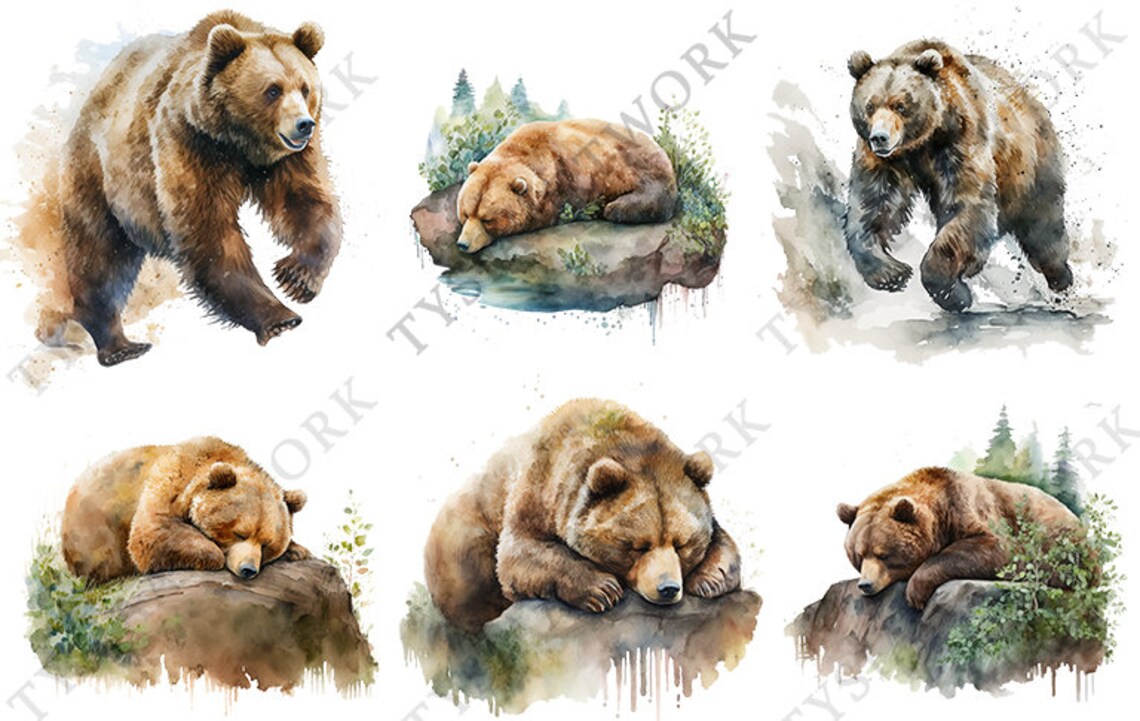 Woodland Bear Clipart Watercolor, Woodland Animals Clipart, Commercial ...