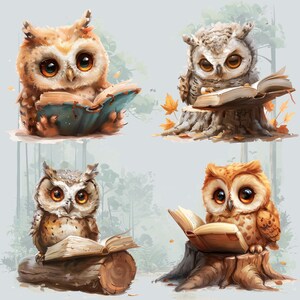 Woodland Owl Clipart, Owl Reading Clipart, Enchanted Forest Clipart ...