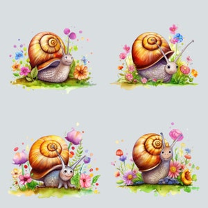 Funny Snail Clipart Watercolor Snail Clipart Snails PNG Transparent ...