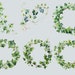 Watercolor Ivy Clip Art - Digital Climbing Ivy Vines Clipart Graphics ...