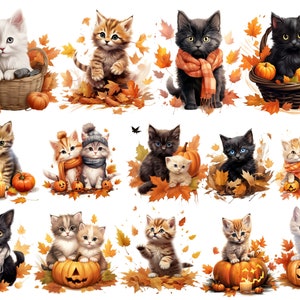 100 Cat Clipart Halloween Cat PNG Pumpkin Cat Illustrations Crafting ...