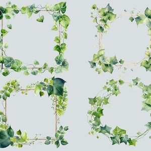 Watercolor Ivy Clip Art - Digital Climbing Ivy Vines Clipart Graphics ...