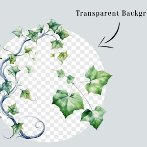 Watercolor Ivy Clip Art - Digital Climbing Ivy Vines Clipart Graphics ...