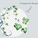 Watercolor Ivy Clip Art - Digital Climbing Ivy Vines Clipart Graphics ...