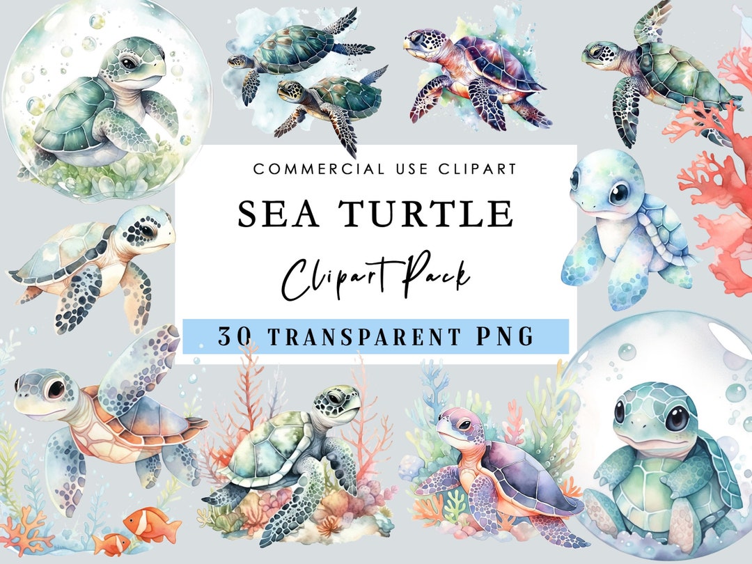 Sea Turtle Clipart Baby Turtle Watercolor Ocean Animals Nautical ...