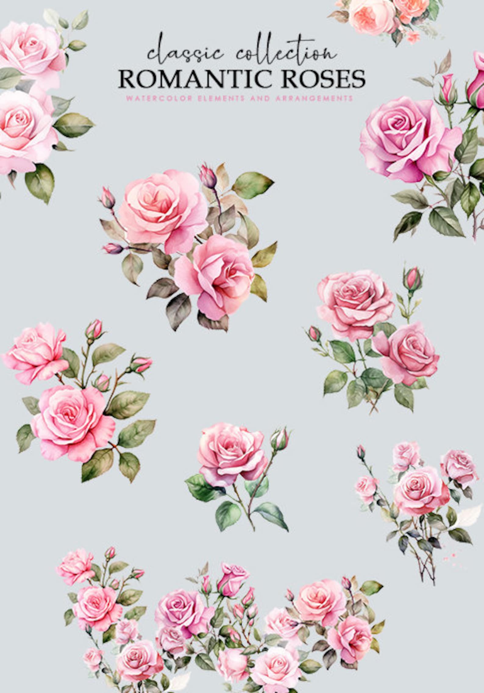 Watercolor Roses Clipart Roses Clipart Watercolor Clipart - Etsy