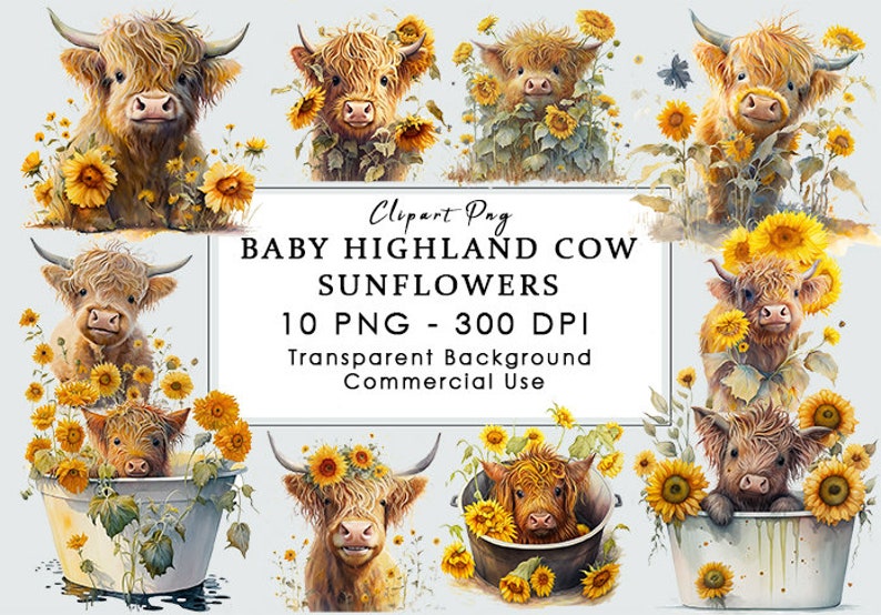 Highland Cow Sunflowers Illustrations PNG for Digital Crafting and ...