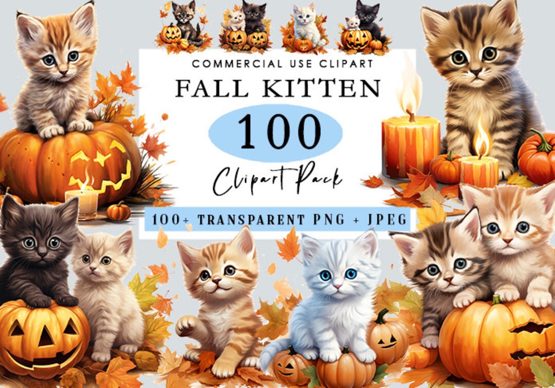 100 Cat Clipart Halloween Cat PNG Pumpkin Cat Illustrations Crafting ...