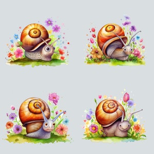Funny Snail Clipart Watercolor Snail Clipart Snails PNG Transparent Background, Commercial Use ...