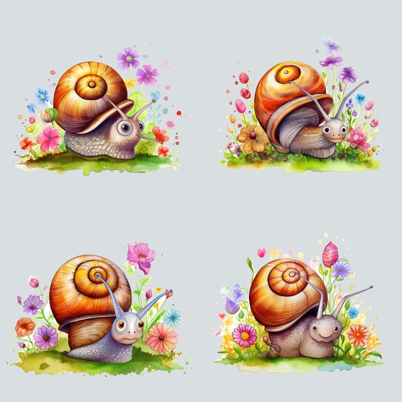 Funny Snail Clipart Watercolor Snail Clipart Snails PNG Transparent ...