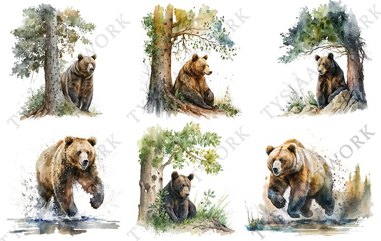 Woodland Bear Clipart Watercolor Woodland Animals Clipart - Etsy