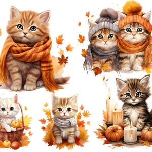 100 Cat Clipart Halloween Cat PNG Pumpkin Cat Illustrations Crafting ...