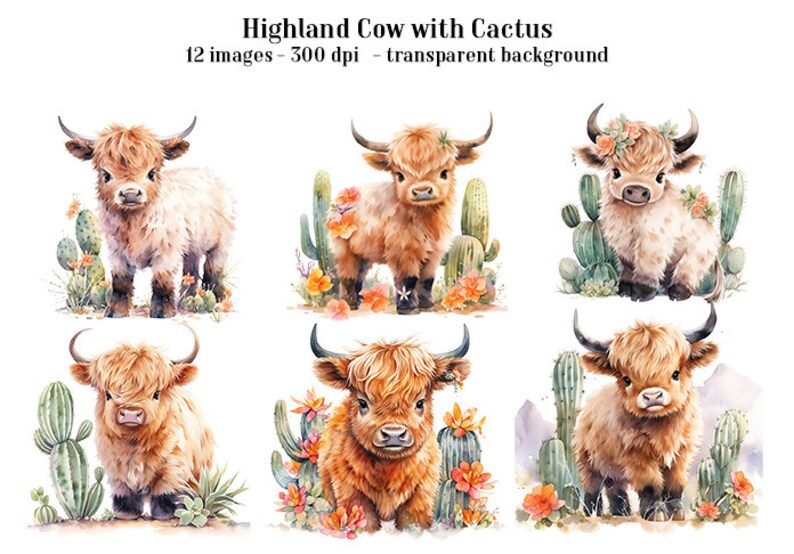 Highland Cow With Cactus Clipart Cactus Highland Cow Clipart Watercolor ...