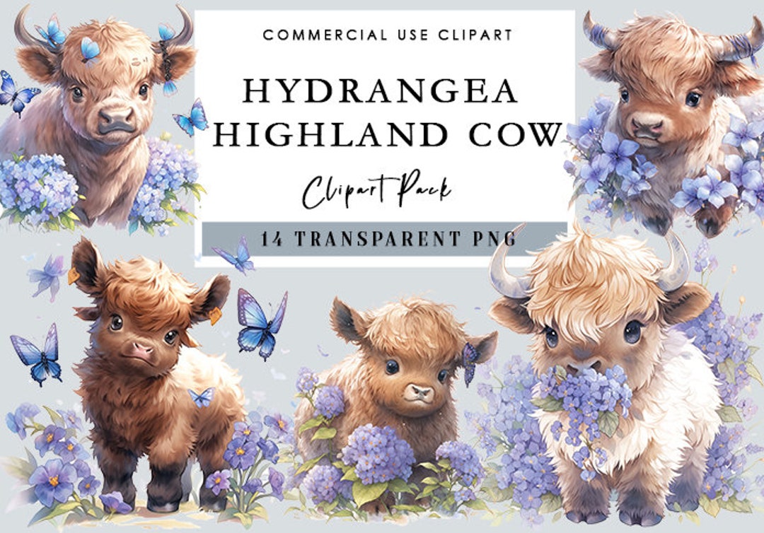 Hydrangea Highland Cow Clipart Blue Flowers Highland Cow Clipart Baby ...