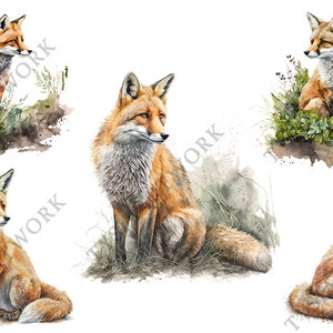 Woodland Fox Clipart Watercolor Woodland Baby Animals - Etsy