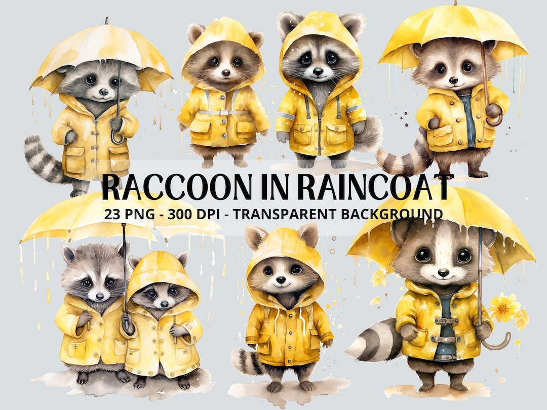 Raccoon in Raincoat Clipart, Animals in Raincoat, Rainy Raccoon Clipart ...