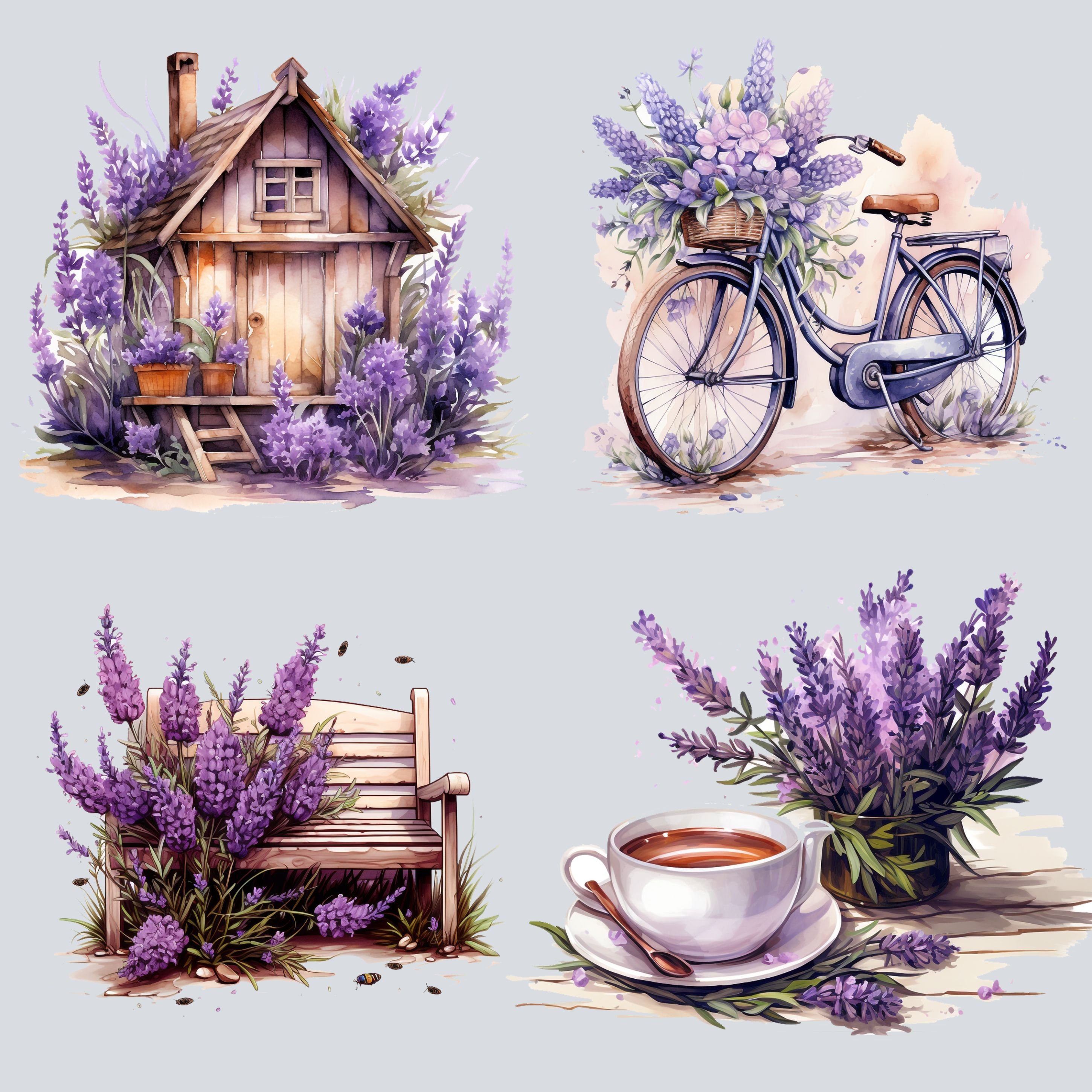Lavender Flower Watercolor Clipart Bundle - 45 PNG Summer Lavender ...