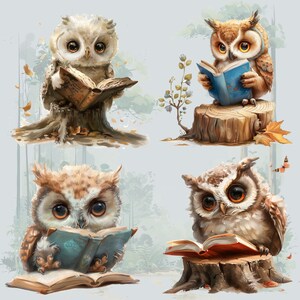 Woodland Owl Clipart, Owl Reading Clipart, Enchanted Forest Clipart ...