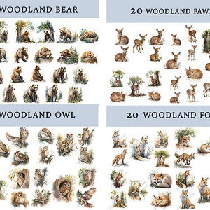 Woodland Animals Clipart Collection Watercolor Forest Animals Clipart ...