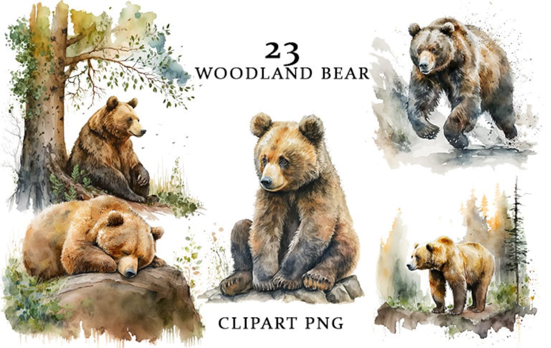 Woodland Bear Clipart Watercolor, Woodland Animals Clipart, Commercial ...