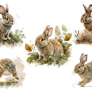 Woodland Rabbit Clipart Watercolor, Woodland Baby Animals Clipart ...