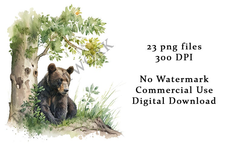 Woodland Bear Clipart Watercolor, Woodland Animals Clipart, Commercial ...