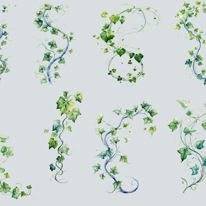 Watercolor Ivy Clip Art - Digital Climbing Ivy Vines Clipart Graphics ...